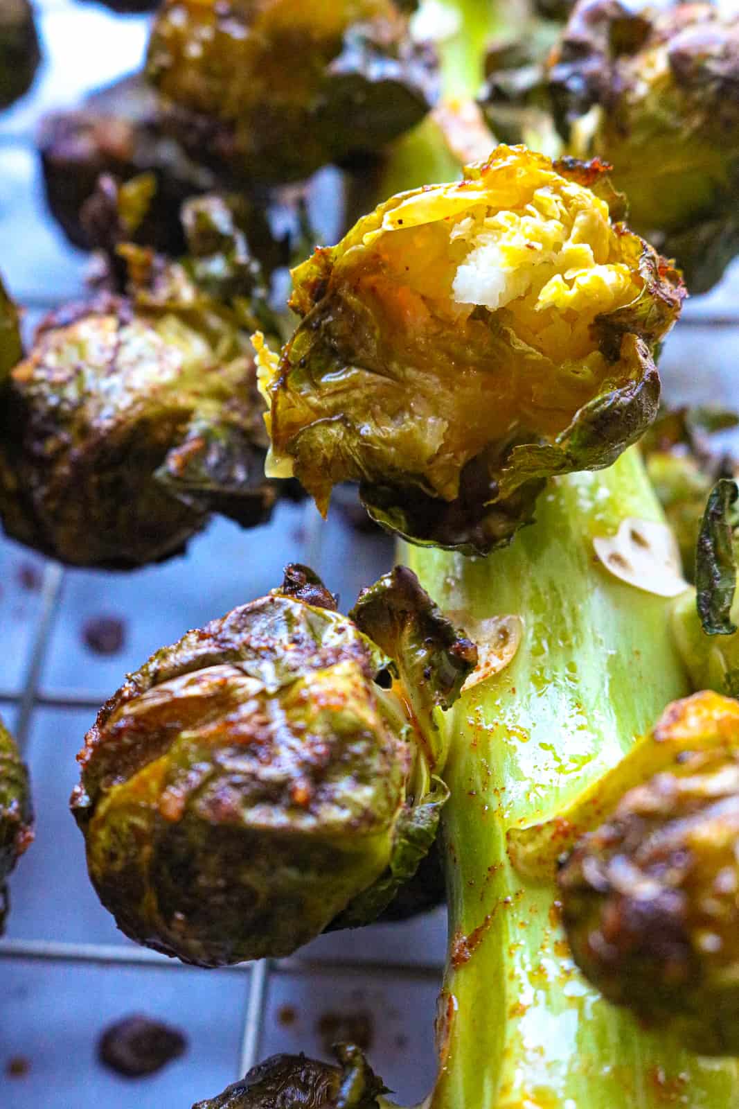 Brussel Sprouts Stalk Recipe - Oven Roasted - Savory Thoughts
