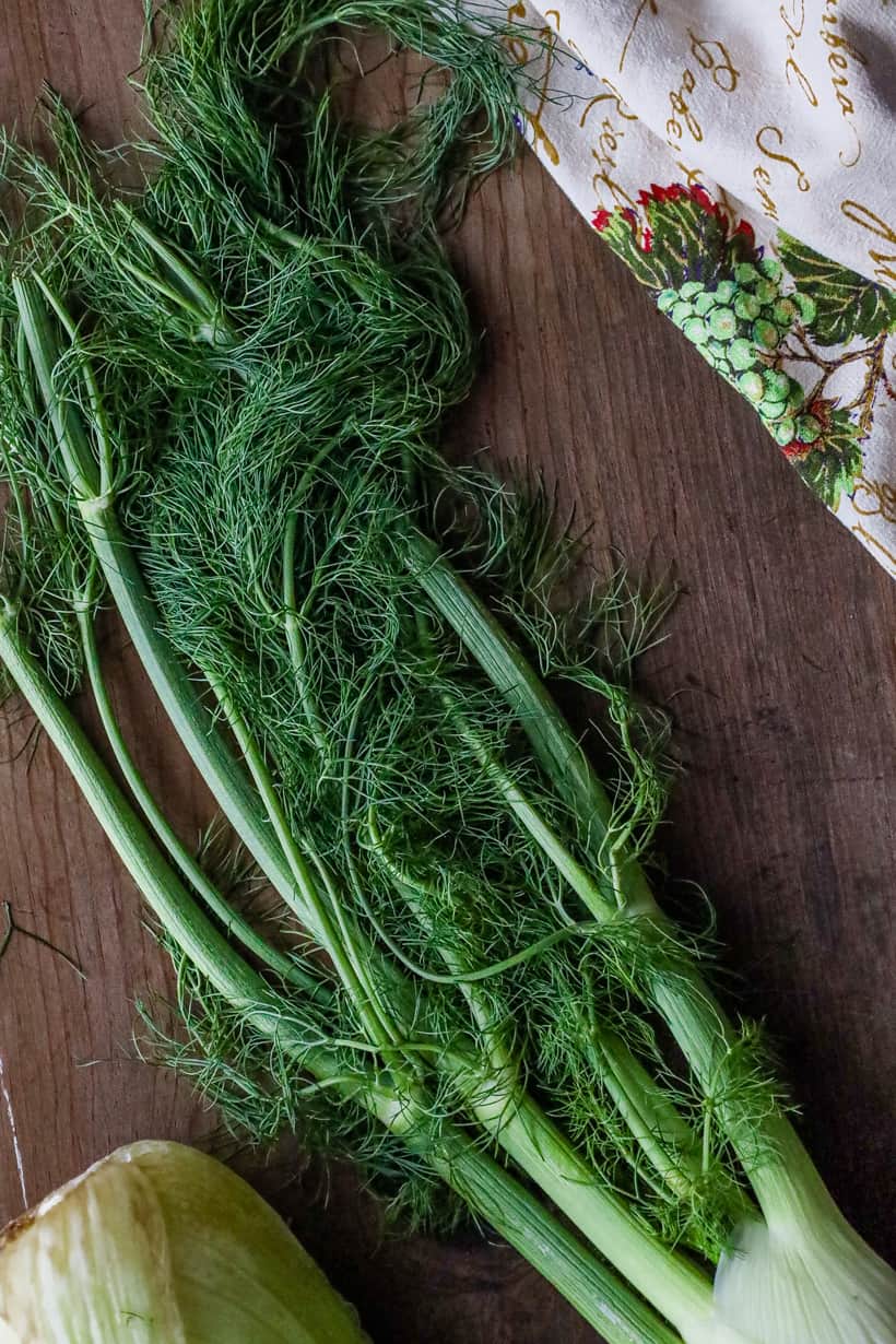What Does Fennel Taste Like - Savory Thoughts